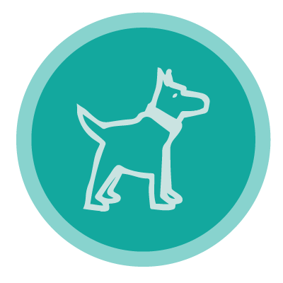 FTCE-CS Preparation Course | CodeHS