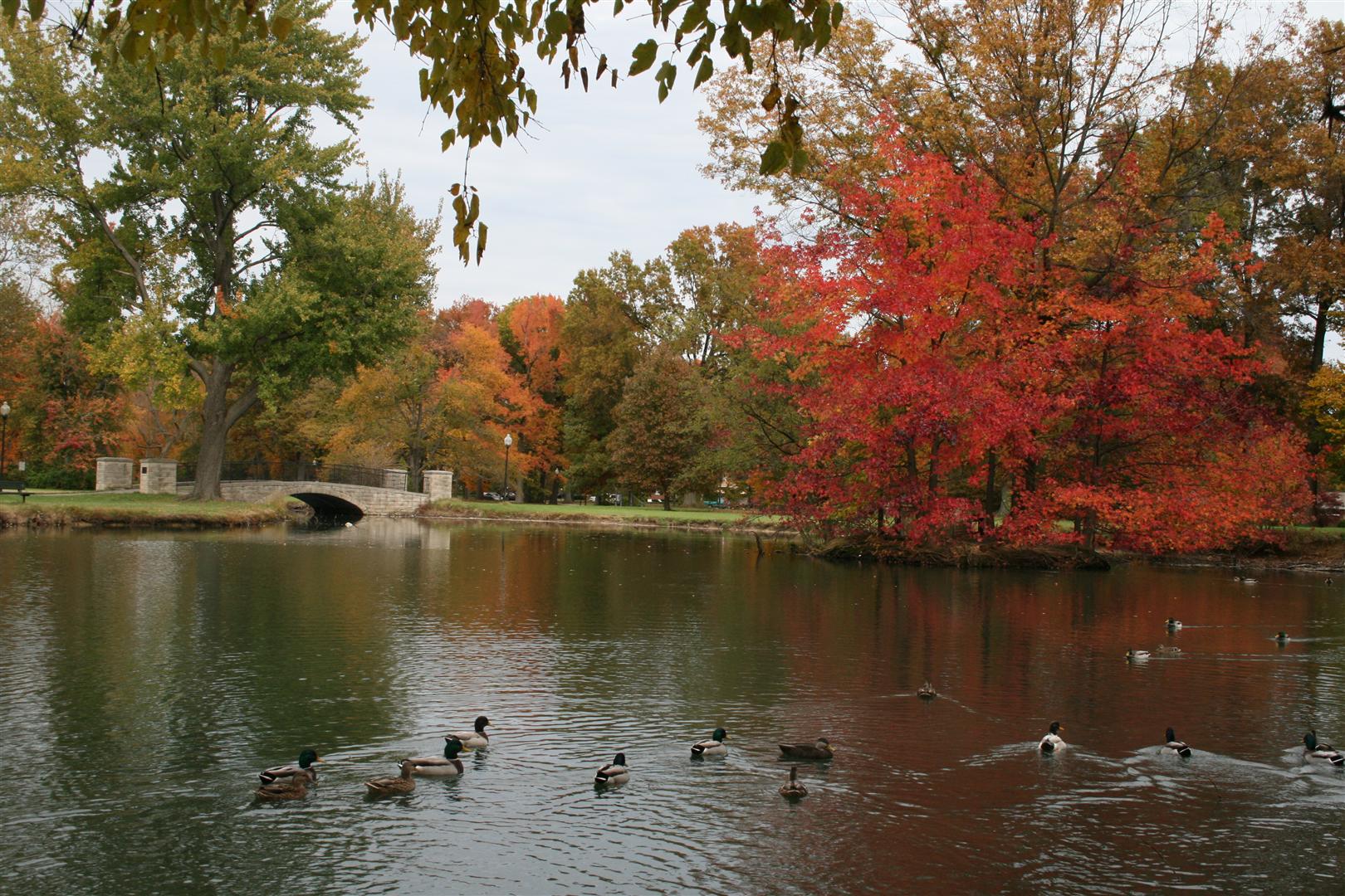 Get Started With CodeHS | CodeHS